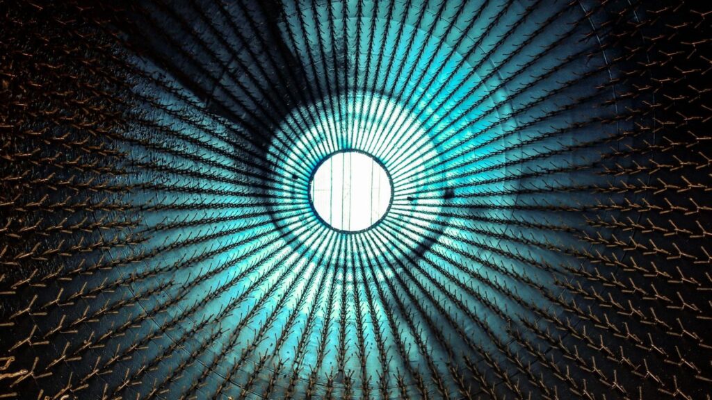 Terms and Conditions | Amulus